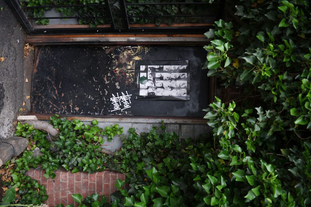 RAL_6102 - Jenkem Magazine