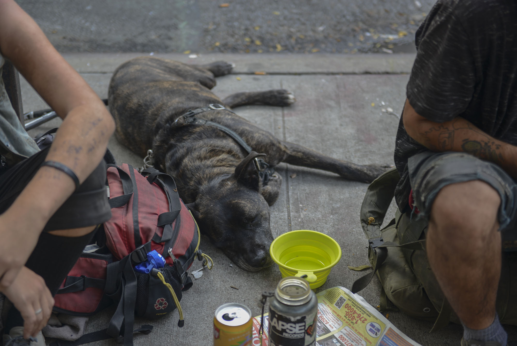 jenkem-crust-punks-05 - Jenkem Magazine