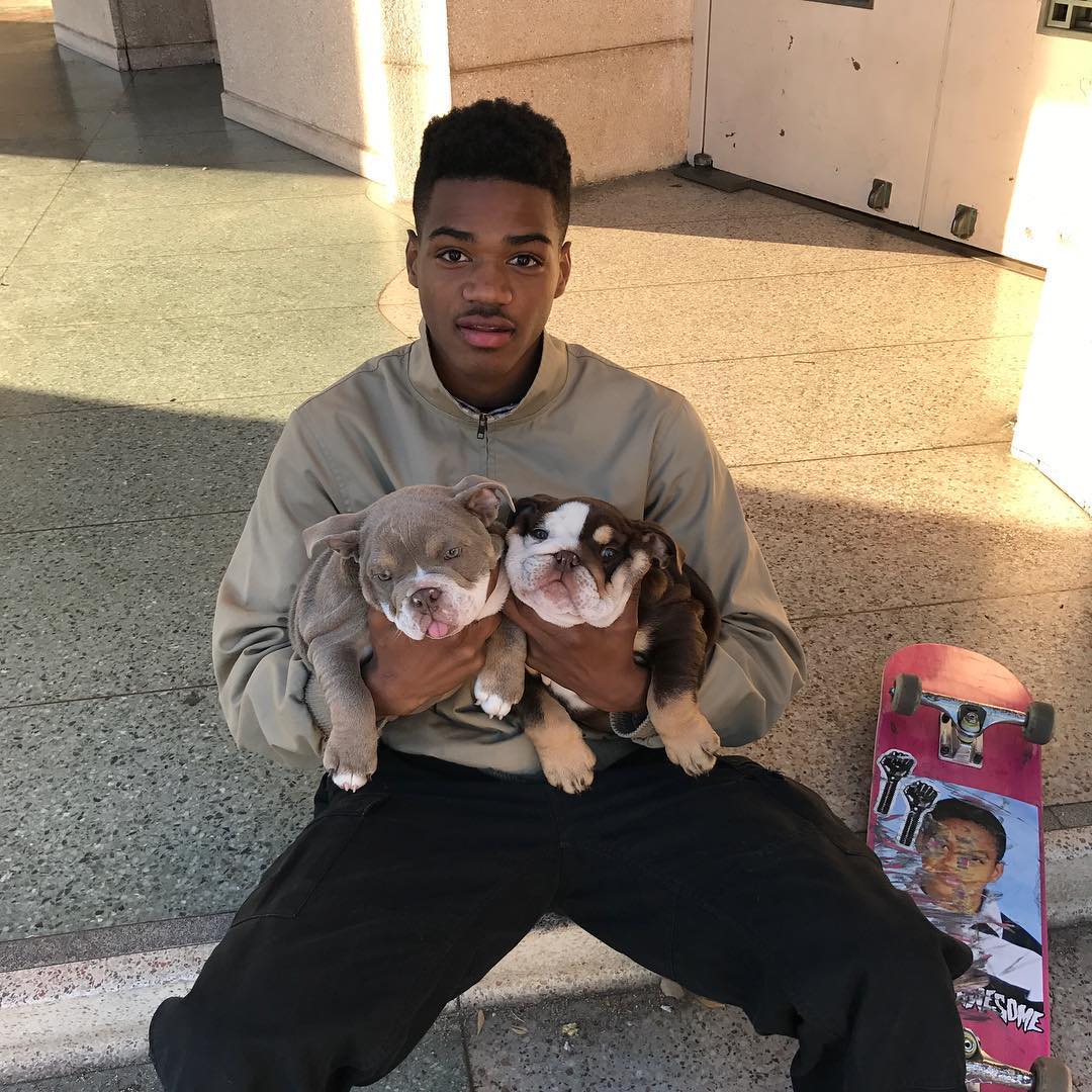 Tyshawn_dogs - Jenkem Magazine