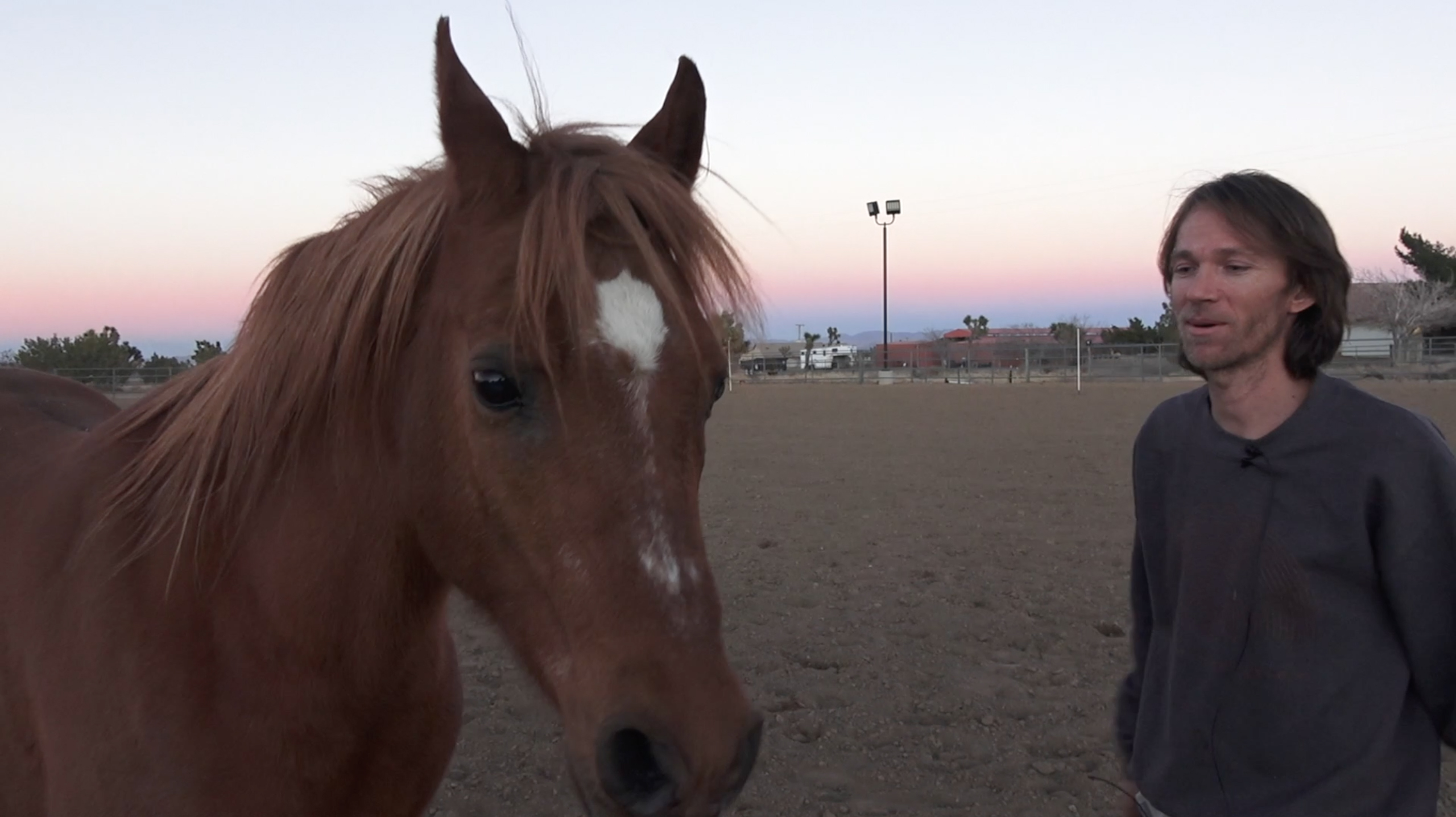 Bryan_Herman_horse1 - Jenkem Magazine