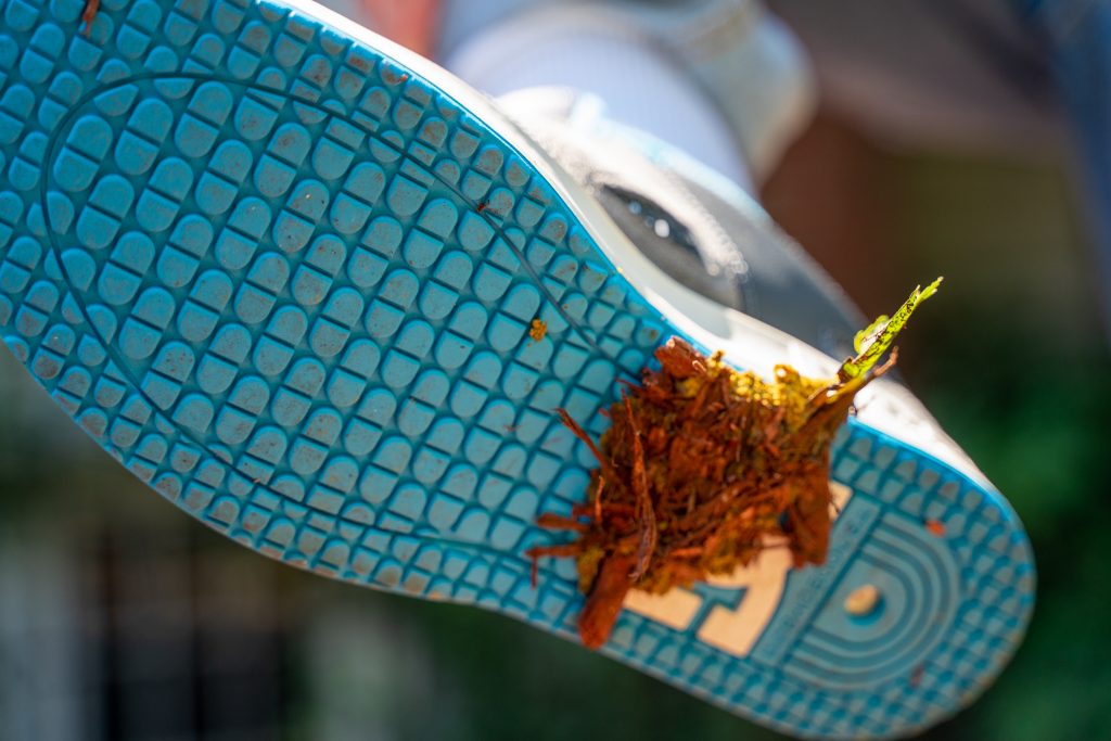 FINDING THE BEST SKATE SHOE TO STEP IN DOG SHIT WITH - Jenkem Magazine