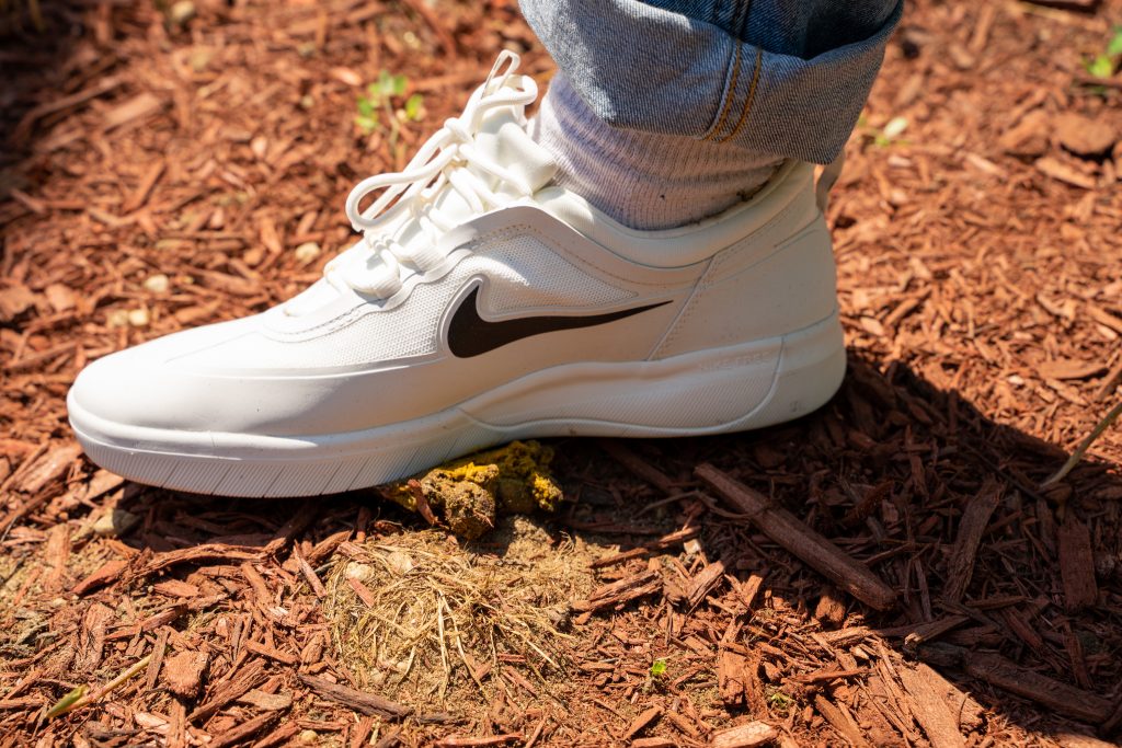 FINDING THE BEST SKATE SHOE TO STEP IN DOG SHIT WITH - Jenkem Magazine