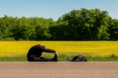 HOW CHAD CARUSO SKATED ACROSS AMERICA - Jenkem Magazine