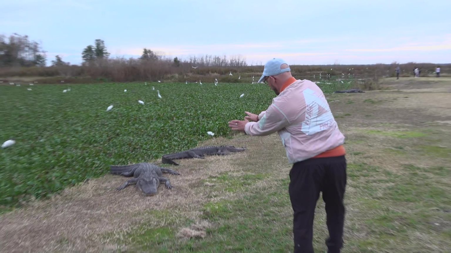 BUDDHIST TEMPLES AND ALLIGATORS WITH BILLY ROHAN - Jenkem Magazine
