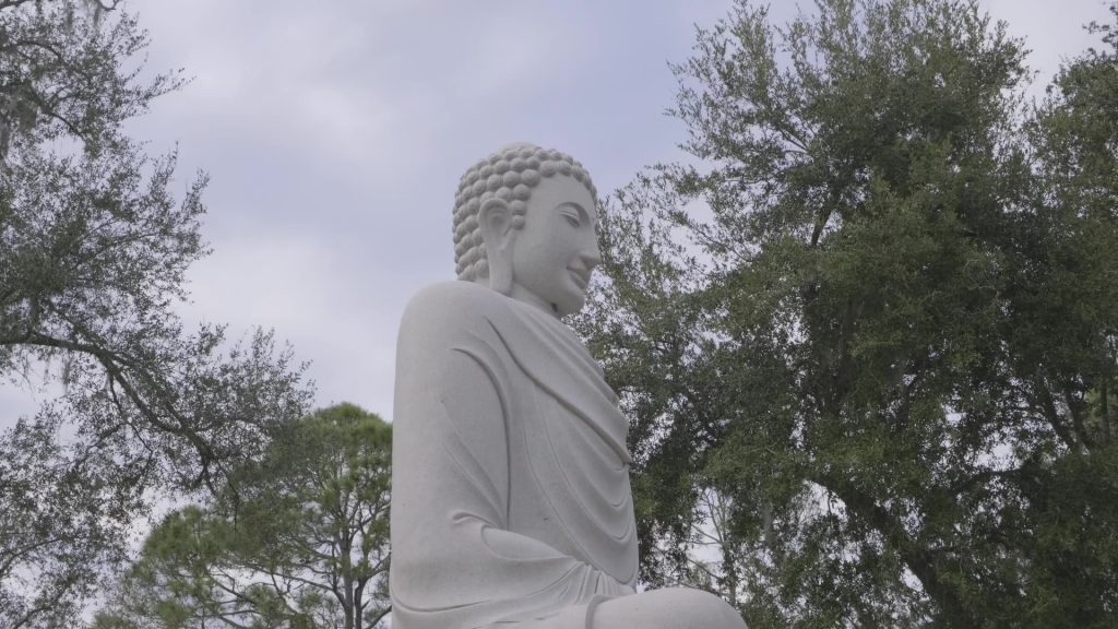 BUDDHIST TEMPLES AND ALLIGATORS WITH BILLY ROHAN - Jenkem Magazine
