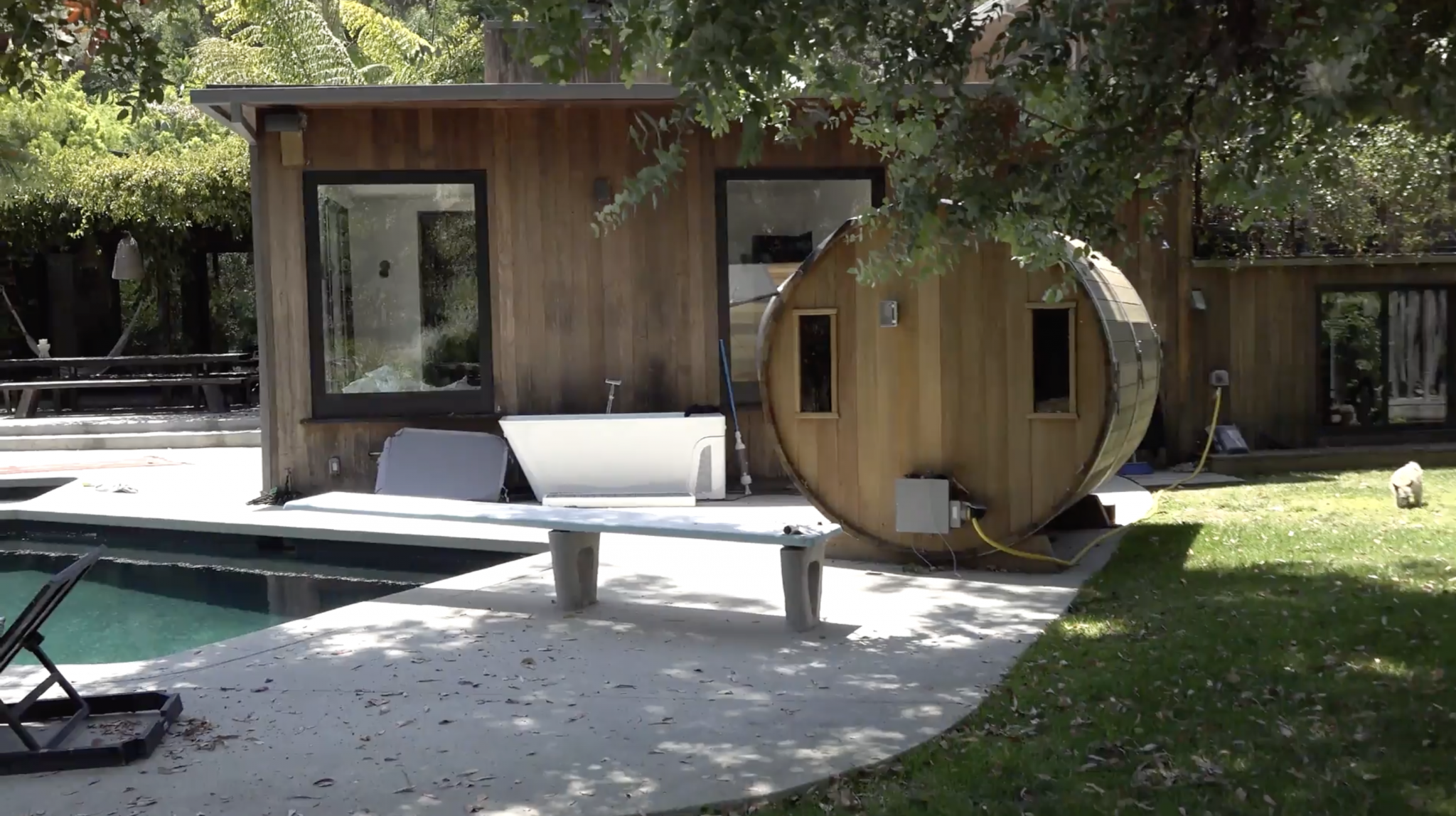 HANGING OUT WITH ANDREW HUBERMAN, SKATEBOARDER TURNED NEUROSCIENTIST ...